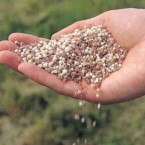 Blog – Old Lane Allotment Association